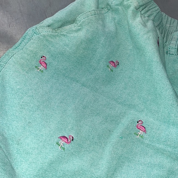 chubbies | Shorts | Chubbies Pink Flamingo Vibes | Poshmark